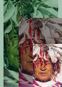 Untitled Document [faculty.buffalostate.edu]